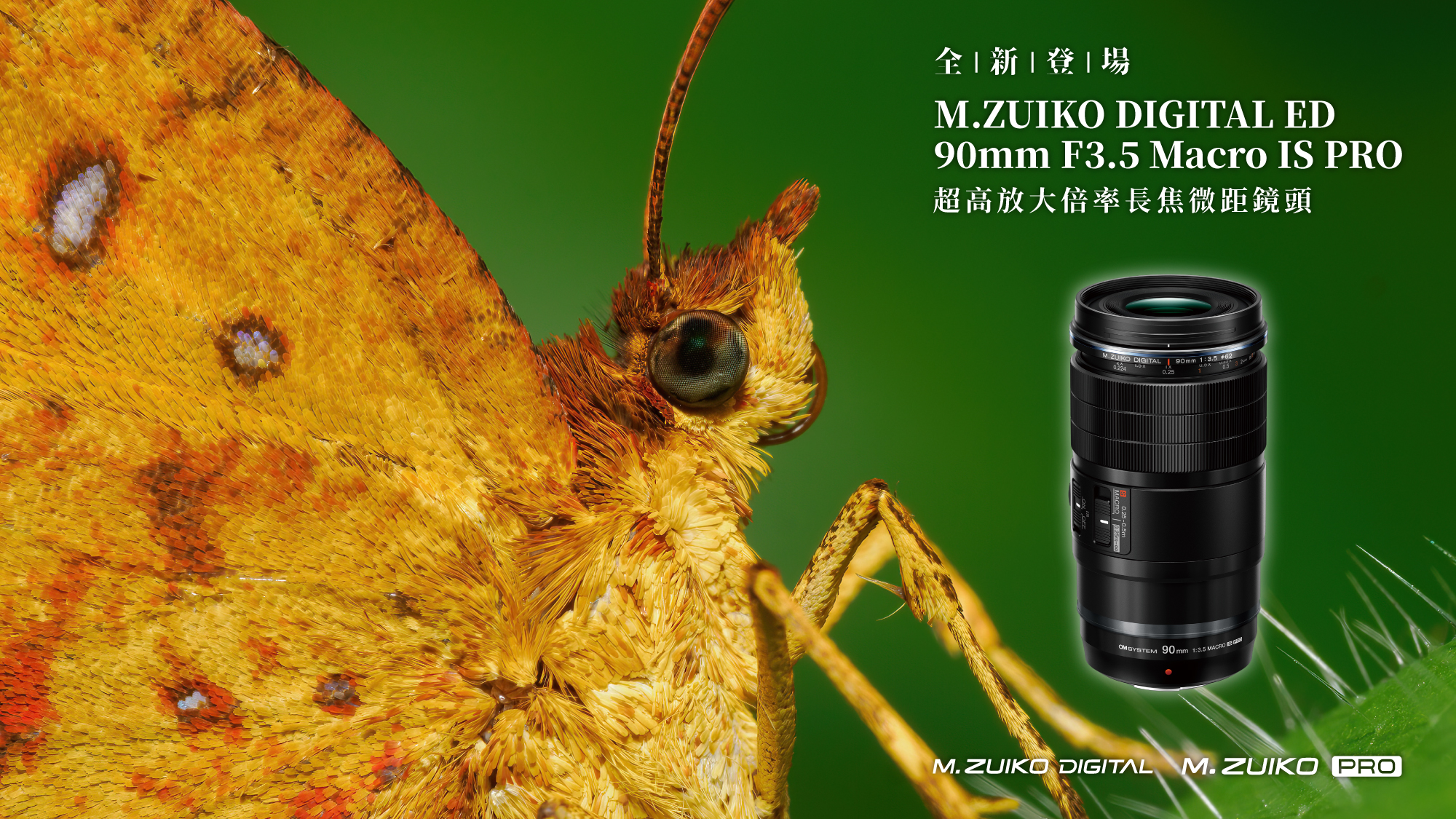 微距的全新視界：M.ZUIKO DIGITAL ED 90mm F3.5 Macro IS PRO - OM System TW